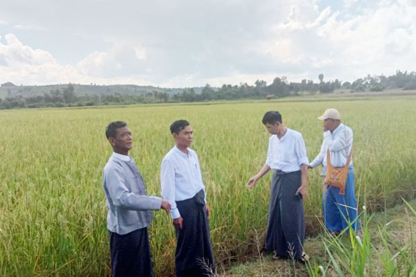 တန့်ယန်းမြို့နယ်တွင် နိုင်ငံစီးပွားမြှင့်တင်ရေးအစီစဉ်ဖြင့် ဆောင်ရွက
